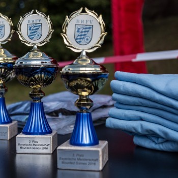 Bayerischer Reit- und Fahrverband e.V.